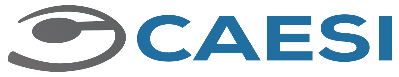 CAESI CURSOS