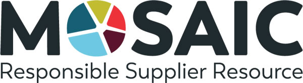 Create Improvement Plan | Mosaic RSR